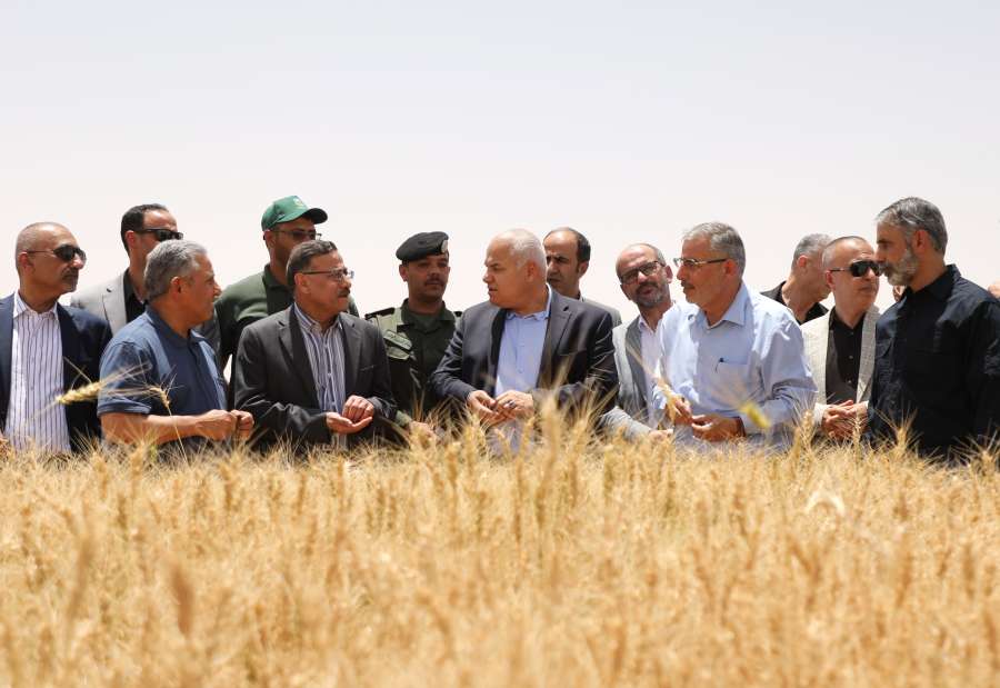 مشروع المدورة الزراعي: نموذج استثماري متكامل يعكس استراتيجية الضمان ...